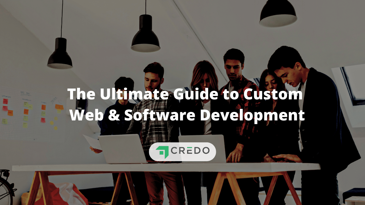 A Comprehensive Guide: Custom Web & Software Development | Credo